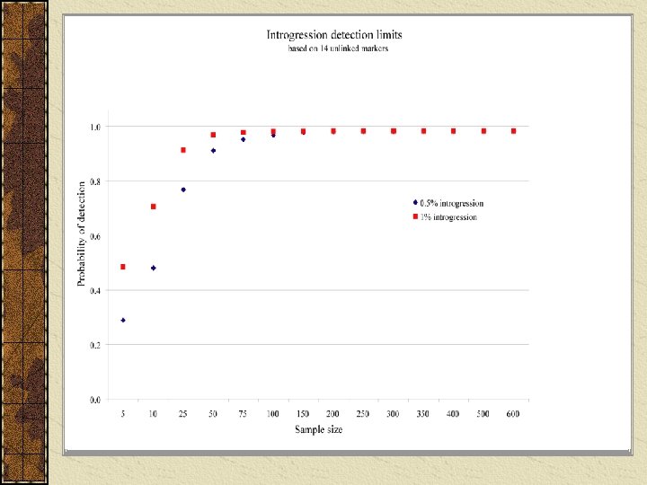 Is Genetic Integrity Important in the Ecological Restoration