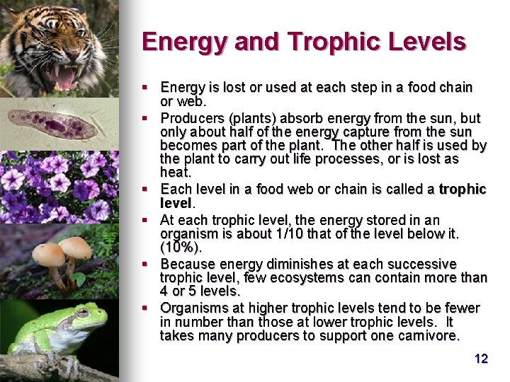 Biology 40 S Unit 5 Ecosystems Developed by