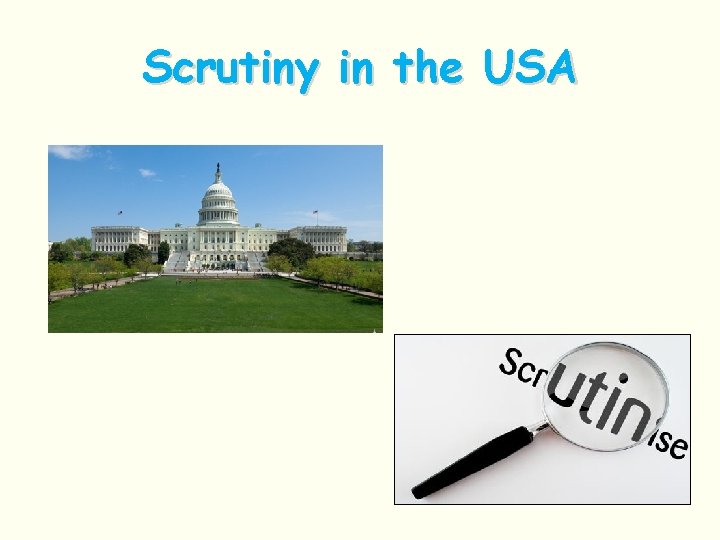 Scrutiny in the USA Government Scrutiny Like the