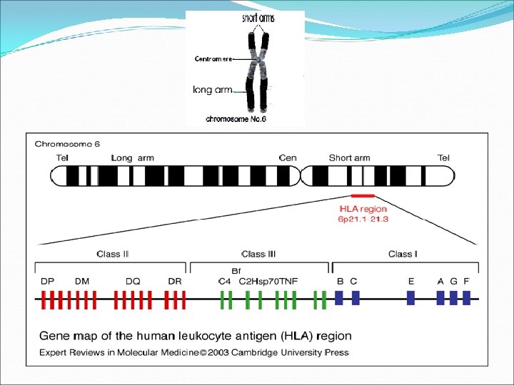WELCOME DHANAJI NANA MAHAVIDYALAYA FAIZPUR DEPARTMENT OF MICROBIOLOGY