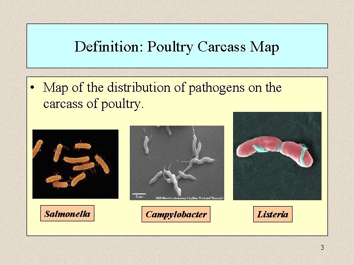 Improving Food Safety by Poultry Carcass Mapping Thomas