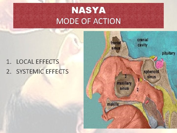 Nasya Karma Introduction The nose is the doorway