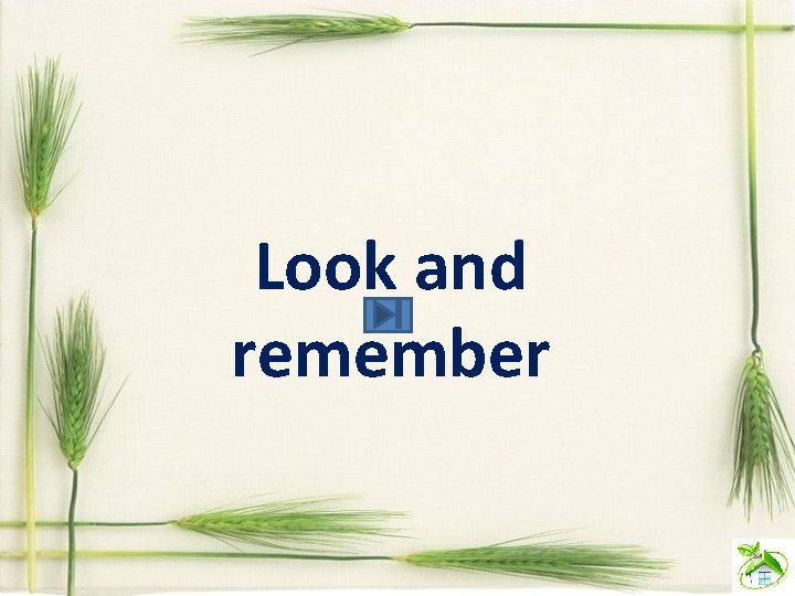 Look and remember 1 Magic hat 2 The