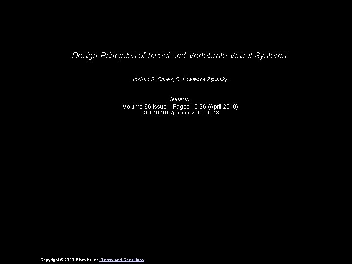 Design Principles of Insect and Vertebrate Visual Systems