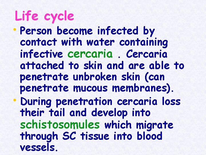Remember Autoinfection Mode of infection Infective stage Definitive