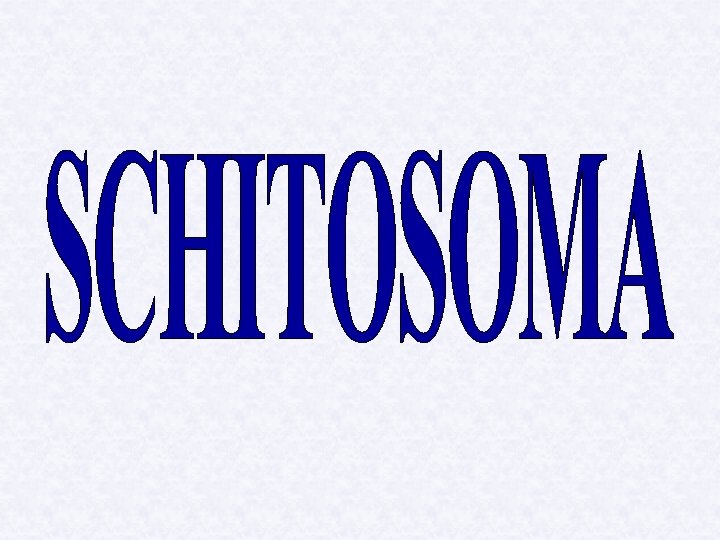 Remember Autoinfection Mode of infection Infective stage Definitive
