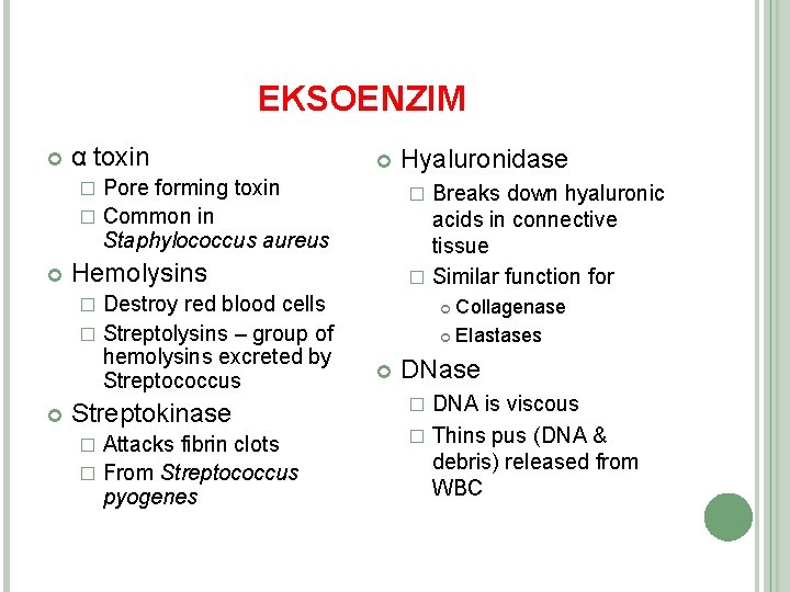 MEKANISME PERUSAKAN TOKSIN BAKTERI M SABIR 1 PENDAHULUAN