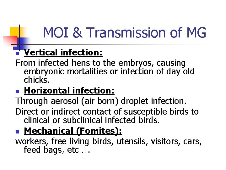 Bacterial Diseases of Turkeys and Ducks Prof Dr