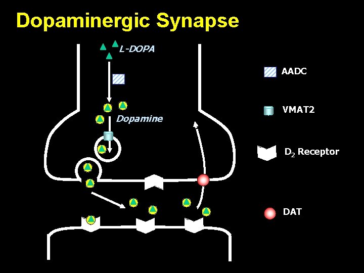 Parkinson Disease Beyond Dopamine Roger L Albin M