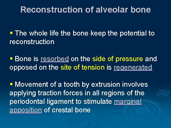 MANDIBULA Lower jaw Anatomy repetition Widespread description and