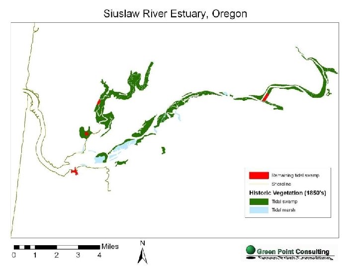 Building a Blueprint for Tidal Wetland Salmon Habitat
