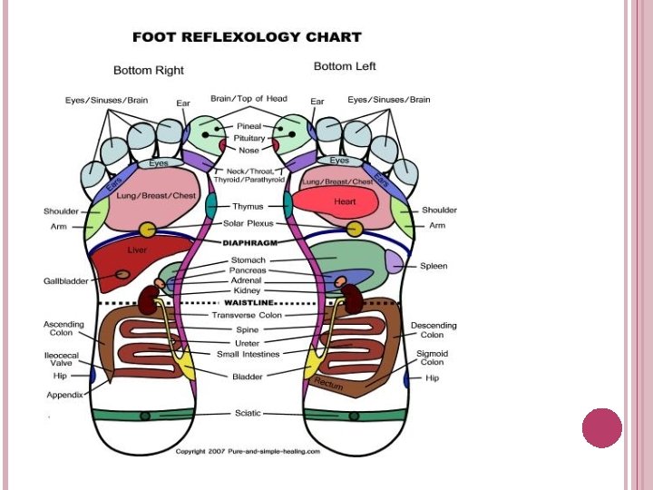 REFLEXOLOGY TIPS FOR THE NECK SPINE HIPS AND