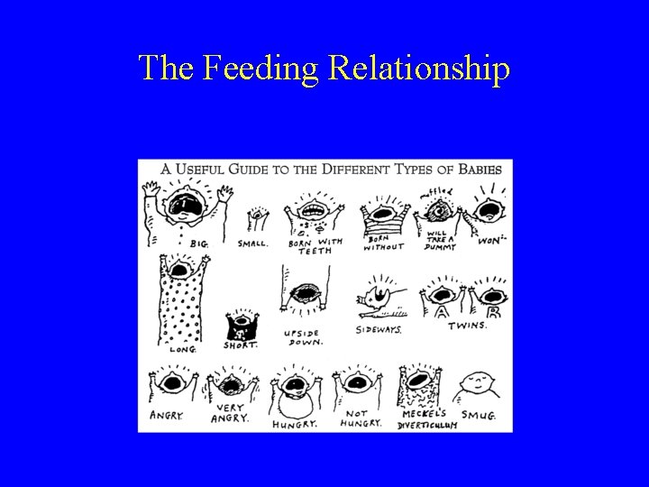 The Feeding Relationship The feeding relationship Nourishing and
