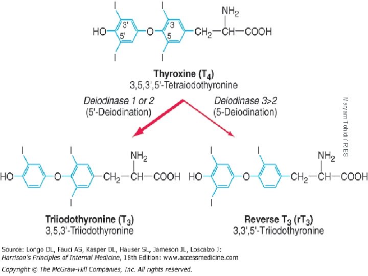 LABORATORY TESTS FOR EVALUATION OF THYROID DISORDERS Maryam