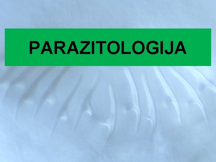 PARAZITOLOGIJA Definicija parazitizma i druge interakcije Parazitizam se