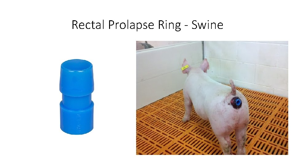 New Tool ID Ambubag Autoclave Used for sterilizing