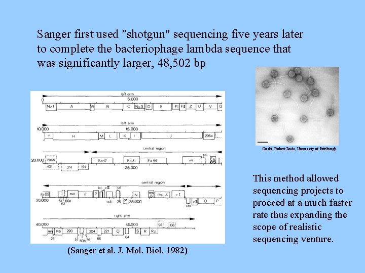 Understanding phage the viruses that infect microorganisms via