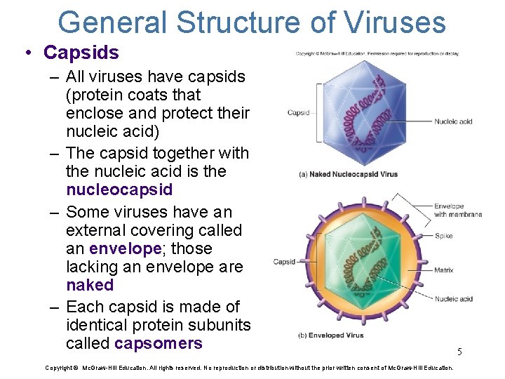 1 An Introduction to Viruses 1 Copyright Mc
