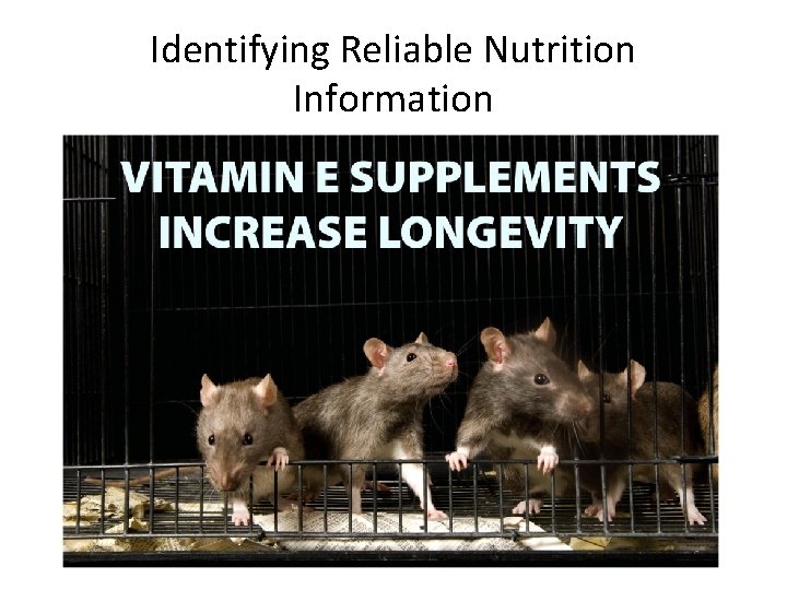 Chapter 1 Nutrition Everyday Choices Nutrition Terms Nutrition