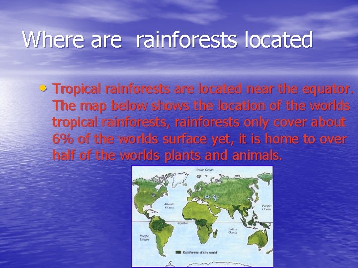 The Rainforest By Chloe Tobin Contents Where are