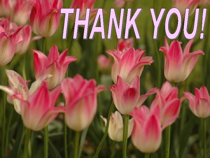 DHSR Approved CurriculumUnit 5 1 DHSR Approved CurriculumUnit