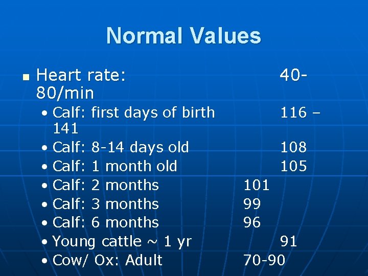 The Physical Examination Cattle II Procedures Equipment Halter