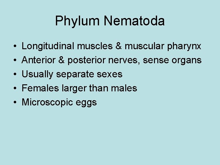 Animals Biology Donald Winslow 8 April 2011 Kingdom