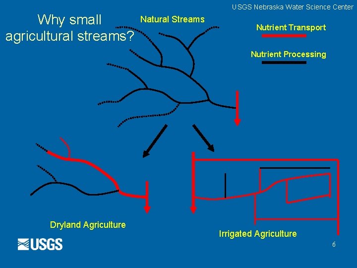 The Use of Calculated Stream Metabolism in Understanding