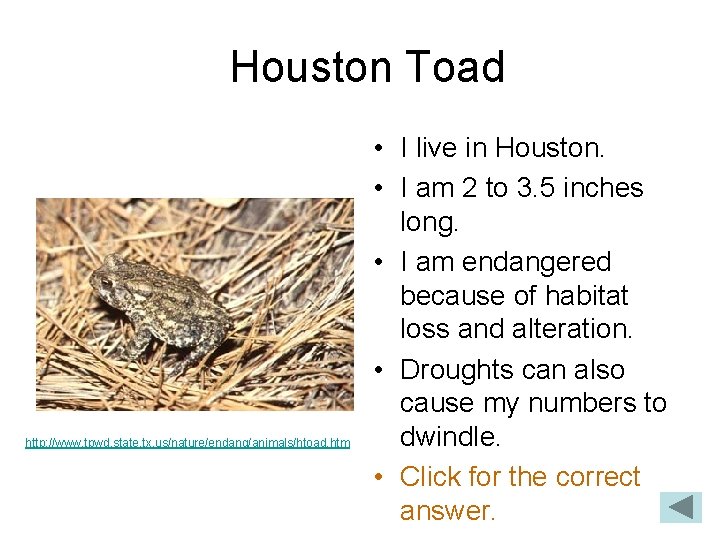 Name That Endangered Species Mammals Birds Plants Reptiles