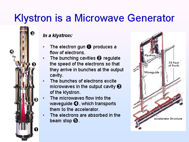 Acceleration and compression of high brightness electron beams
