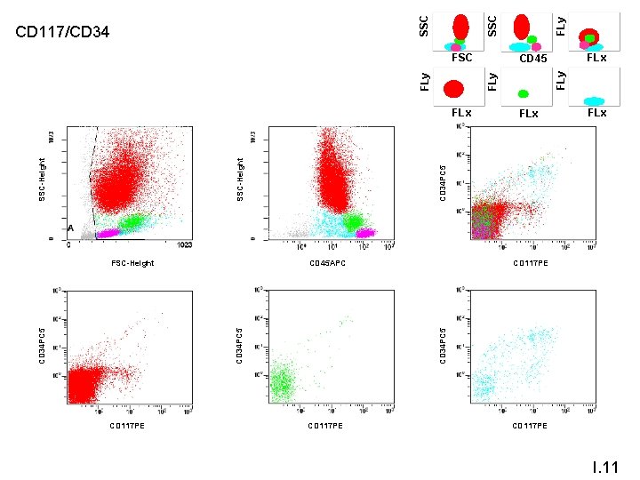 Multiparametric flow cytometry of normal human bone marrow