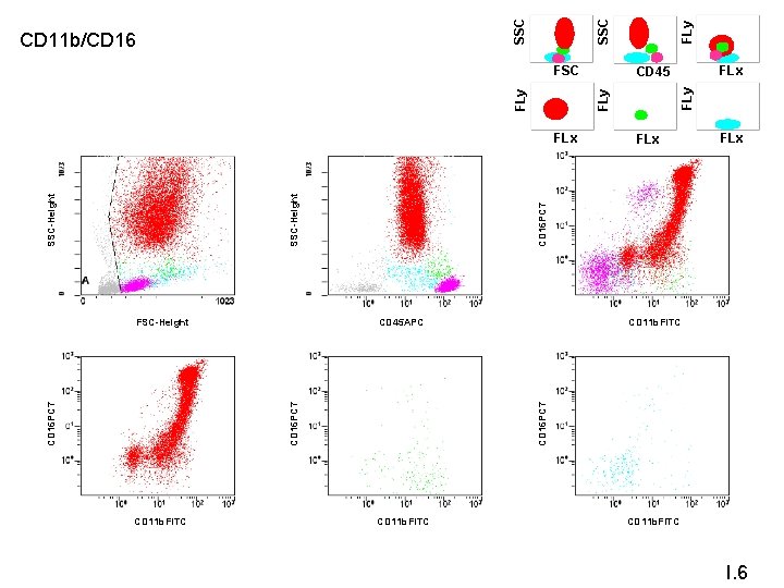 Multiparametric flow cytometry of normal human bone marrow