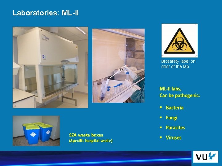 Safety Laserlab Anne Marie Brand Health and Safety