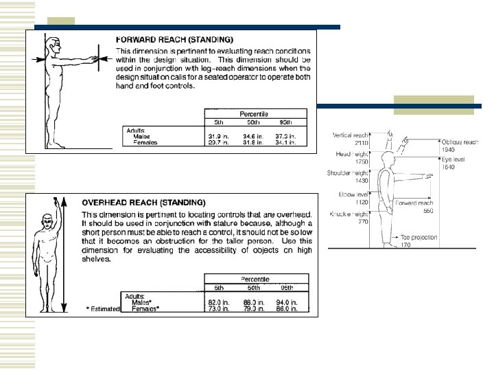 LIST OF BODY DIMENSIONS ANTHROPOMETRY w It is