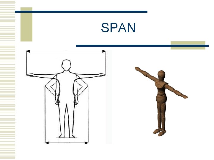 LIST OF BODY DIMENSIONS ANTHROPOMETRY w It is