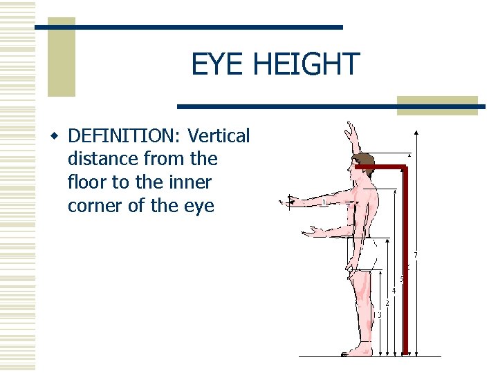 LIST OF BODY DIMENSIONS ANTHROPOMETRY w It is