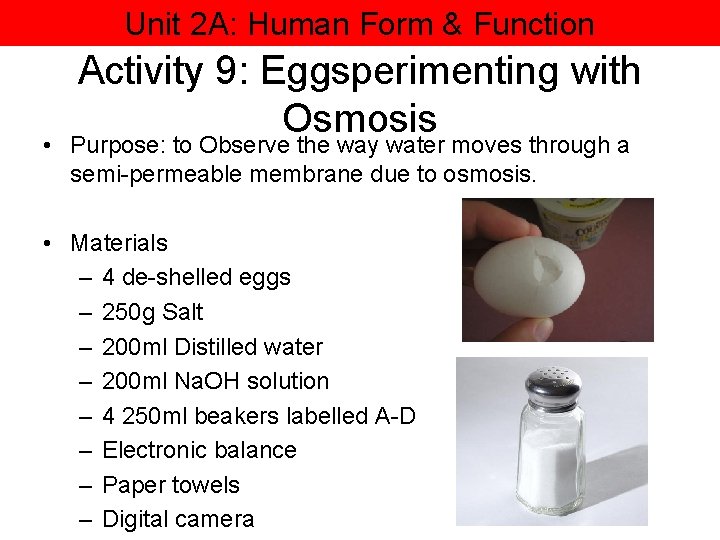 Unit 2 A Human Form Function Osmosis Unit