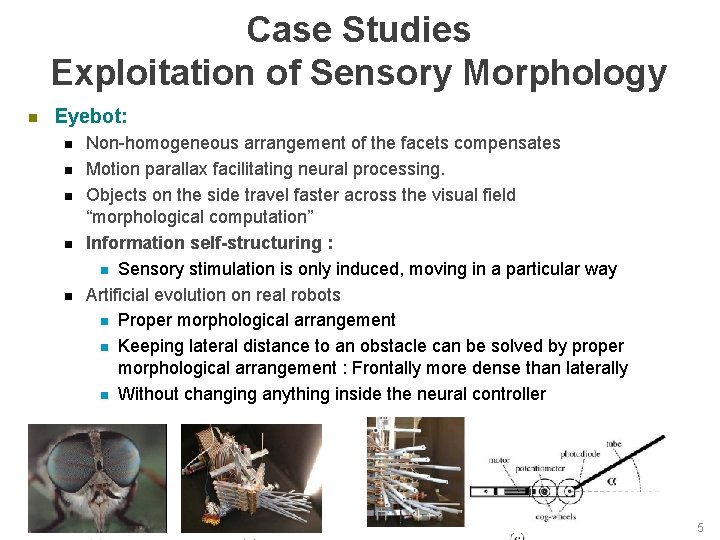 Morphological Computation Connecting Brain Body and Environment 2015