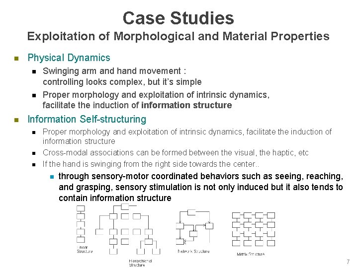 Morphological Computation Connecting Brain Body and Environment 2015