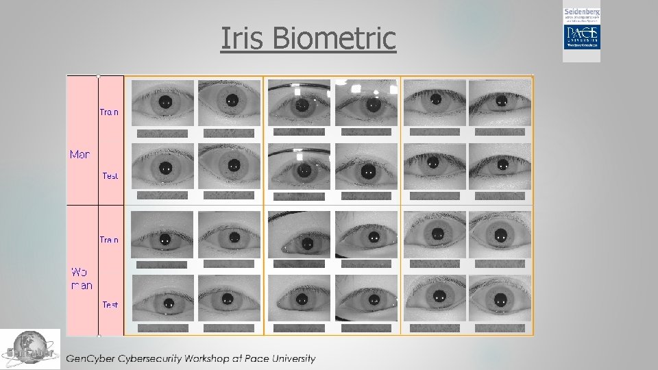 Todays Session Introduction Overview of Biometrics Dr Charles