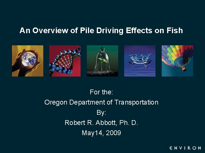 An Overview of Pile Driving Effects on Fish