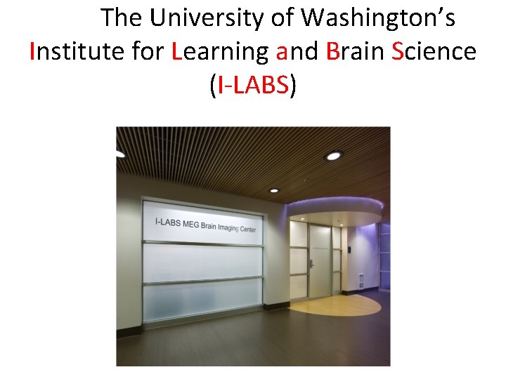 100 Billion NeuronsFostering Language Development in Young Children