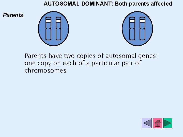 Autosomal dominant inheritance Risks to children where both