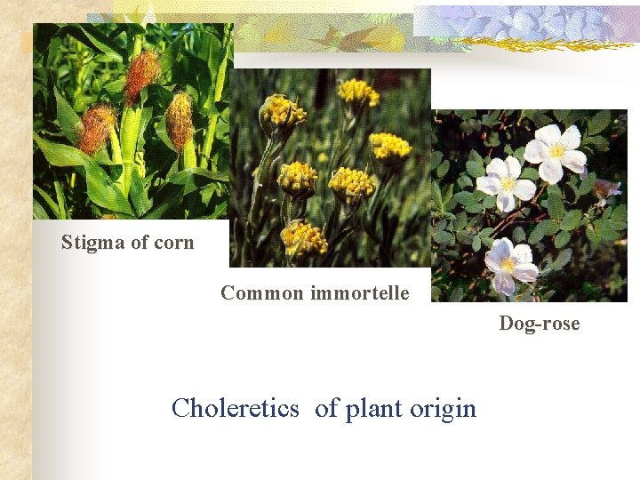Pharmacology of drugs affecting GIT Peptic Ulcer Disease