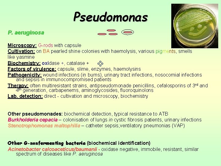 Haemophilus Morphology G pleomorfous rods facultative anaerobe ology