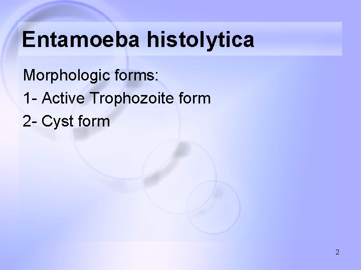 AMOEBAE 1 Entamoeba histolytica Morphologic forms 1 Active