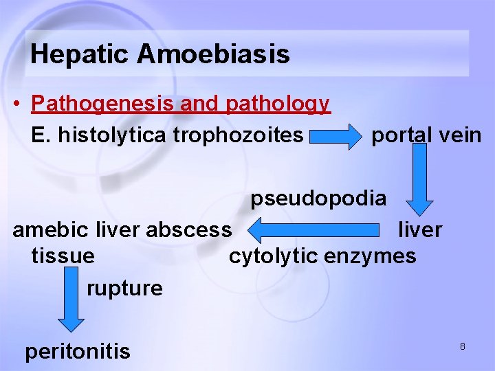 AMOEBAE 1 Entamoeba histolytica Morphologic forms 1 Active