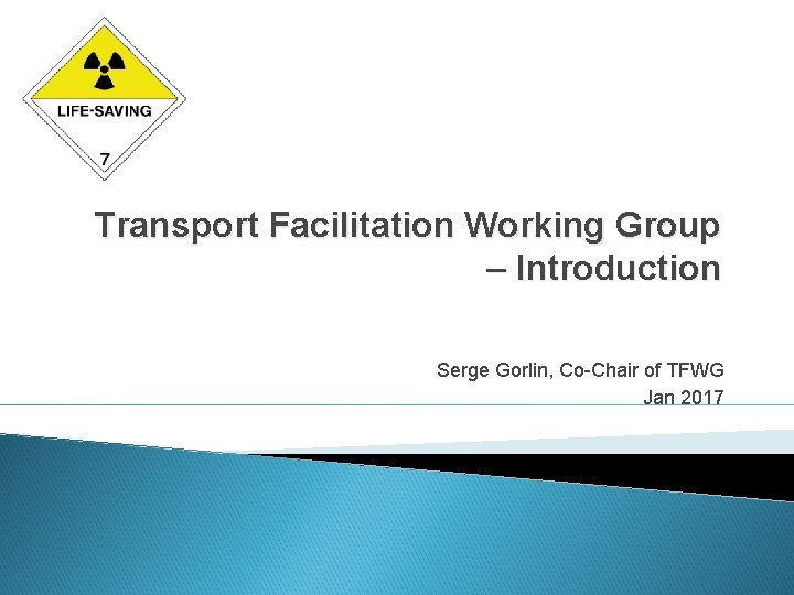 Transport Facilitation Working Group Introduction Serge Gorlin CoChair
