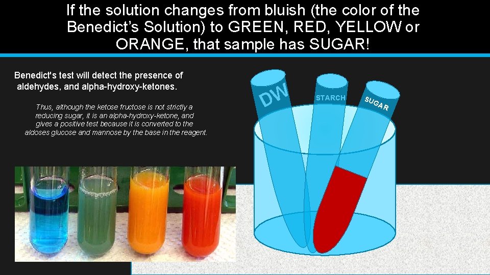 The Chemical Components of Cells In this lab