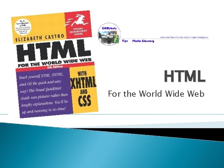 HTML For the World Wide Web CAMshots Website